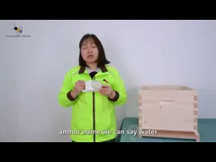 bee feeder.mp4