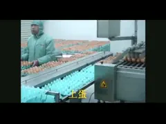 380V 50HZ SUS304の卵のプロセス用機器2T/H 5T/H容量