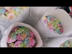 Horticultural 40mic Plastic Plant Sleeves BOPP CPP Material