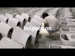 Inspection for the toilet