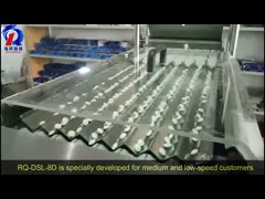 RQ-DSL-8D Automatic Counting Machine