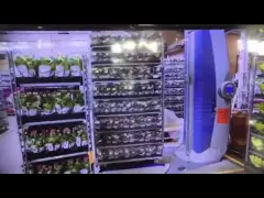 Scaffali dell'organizzazione della serra di H1900mm, carrello danese della pianta di iso