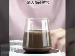 Anionic Polyacrylamide Powder