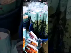 Scanalatura della carta di cartone ondulato della carta kraft del fiore SFK singola