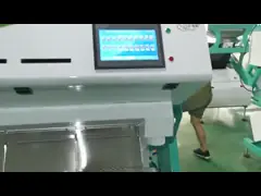 China WENYAO Coffee Bean Selecting Machines Coffee Bean Separation AI Optical Sorting Machines for sale