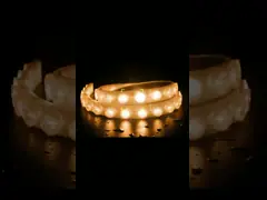 Le lampade fluorescenti flessibili di SMD2835 LED hanno messo la luce principale della rondella della parete