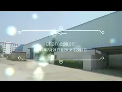 Professional Factory