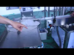 Single Head Powder Filling Machine