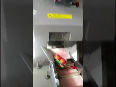 Impacchettatrice arancio automatica di verdura e della frutta con rete