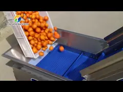 Оранжевая технологическая линия фрукта и овоща выбора 1500KG/H