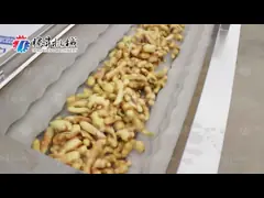 Промышленный пузырь щетки технологической линии фрукта и овоща очищая сушащ выбор и резать
