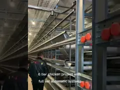 H Type Layer Chicken Cage Battery Powered For Poultry Farm