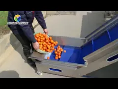 Trasporto automatico dei prodotti alimentari in ascensore industriale