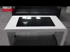 Interactive Touch Screen Table