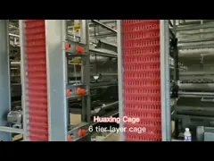 Metal H Type Layer Chicken Cage Auto For Poultry Farm