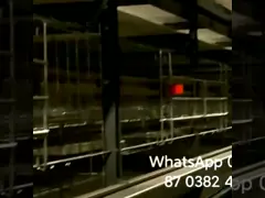 Wired H Type Layer Chicken Cage Egg Holding Automatic
