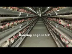 Antirust Egg Layer Chicken Cage With Feeding Drinking System
