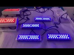 El módulo multicolor 35W Rgb del LED llevó luces de la Navidad llevadas al aire libre del módulo de la luz de inundación