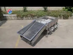 China Automatic Citrus Apple Grading Machine Potato Sorting Equipment Food Processor for sale