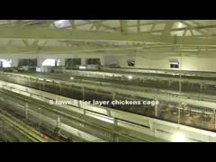 3 Tier 96 Birds Layer Chicken Cage With Feeding And Collecting System