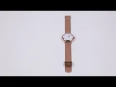 OEM Design Luxury Stainless Steel Case Watch