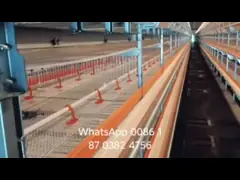 Broiler Chicken Cage Automatic Control Ventilation And Temperature