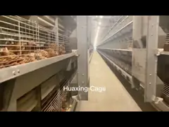 Automatic H Type Battery Wire Breeding Cage For Day Old Chick