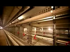 4 Tier 2 Doors H Type Broiler Cage Hot Galvanized Surface Treatment