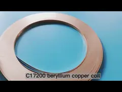 BeCu C17200 Beryllium copper coil Be copper strip 0.25x8.2mm