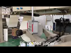 PE parteggiato amichevole di Eco il 1 ha ricoperto la materia prima 260G della tazza della carta kraft