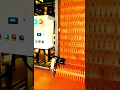 Automated H Type Layer Chicken Cage Hot Galvanized Anti Rust