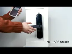 China Tuya Smart Lock Home Digital Card App Controlled Door Lock Biometric Fingerprint Door Lock for sale