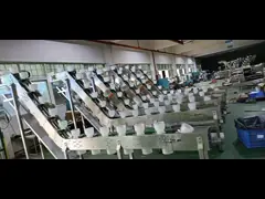 China 0.75KW Pickle Packaging Machine Measurable Food Safe Bowl Type Tipplers Conveyor For Patches Blocks for sale