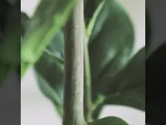 Aesthetic Lifelike 500cm Large Artificial Landscape Trees For Decoration