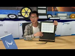 Он был задержан мгновенно.