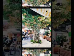 Haihong Artificial Plants New Project Video Sharing