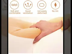 OEM ODM House Decoration Plush Cartoon Cat Pillow 70cm