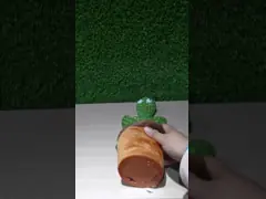 Recording & Repeating & Singing Cactus