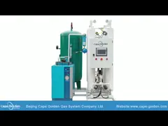 99.5% PSA Medical Oxygen Filling Plant Oxygen Cylinder Filling Plant For Hospital