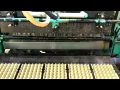 WS-6000 120kw Moulding Egg Tray Machine 6 Person / Shift