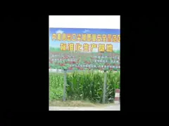 China Organic Hot Chilli Flakes Peppers 500-50000SHU For Color Pigment Extraction for sale