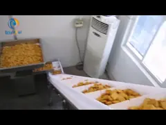 Auto Snack Weighing Packing Machine Back Sealing Multipurpose