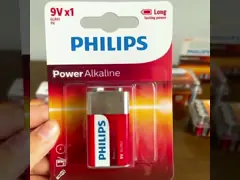 Life Use 9V Philips Power Alkaline AA Batteries 500mAh For Kids Electric Car