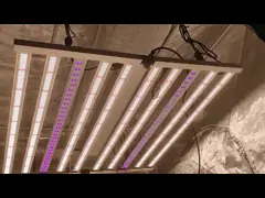 Spectrum High Power LED Grow Lights For Vegetable Seedlings