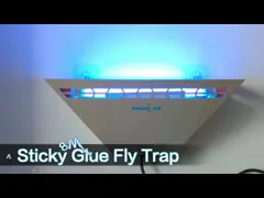 Modern Design Electronic Insect Light Trap Glue Board Indoor Use