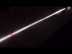 Il prodotto deve essere presentato in un imballaggio di qualità superiore.