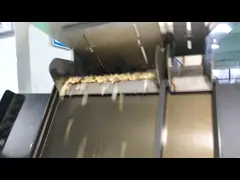 China Macadamia Nut Hazelnut Color Sorter Machine And Hazelnut Color Separator Machine for Separate Hazelnut Kernel and Shell for sale