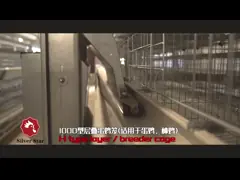 Livestock H Type Layer Chicken Cage Hot Dipped Galvanized