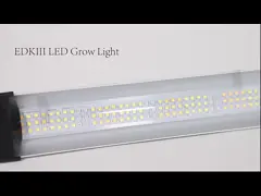 Mushroom Full Spectrum LED Lights SMD2835 Hydroponics