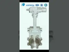 electric gate valves